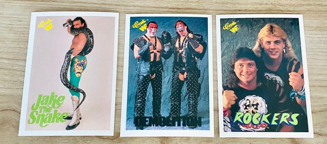 1990 Classic WWF Wrestling Rookie Cards WWE Jake the Snake, Demolition ...