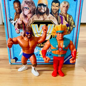 Hasbro WWF Wrestling Figures Macho Man & Ricky the Dragon Steamboat ...