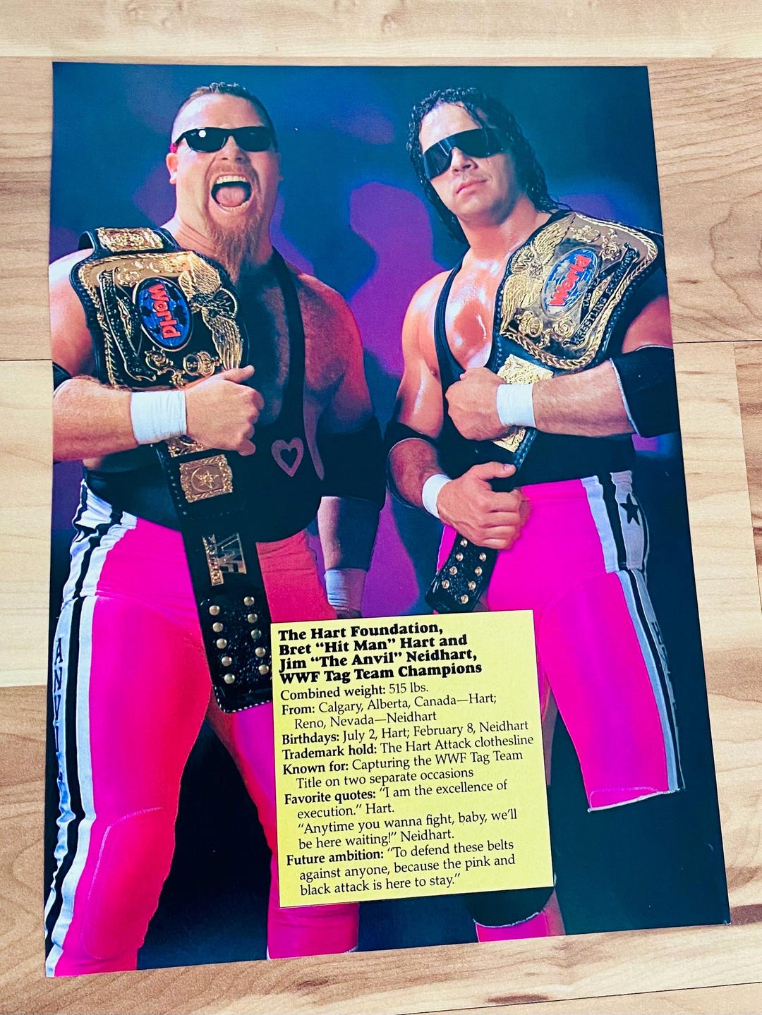 Bret Hart the Hart Foundation Tag Team Champions - 1990 WWF Superstars ...