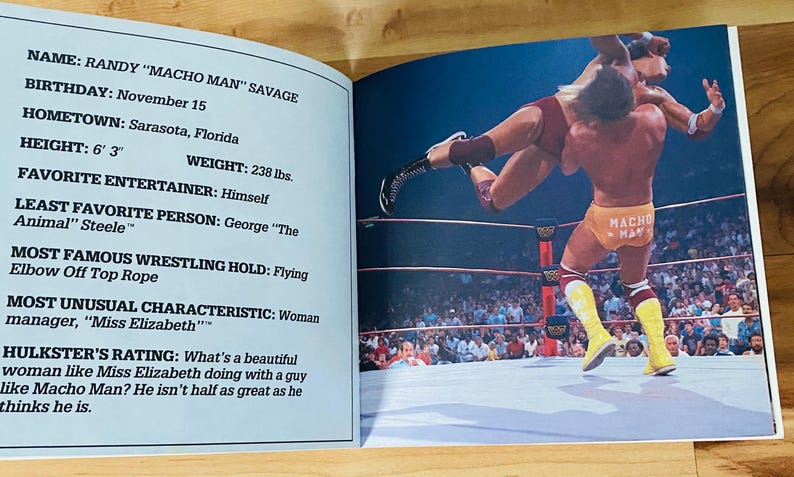 Hulk Hogan's Guide to WWF Wrestling Superstars Book With All Stickers ...
