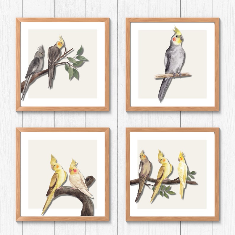 Printable Watercolor Cockatiel Wall Art - Etsy