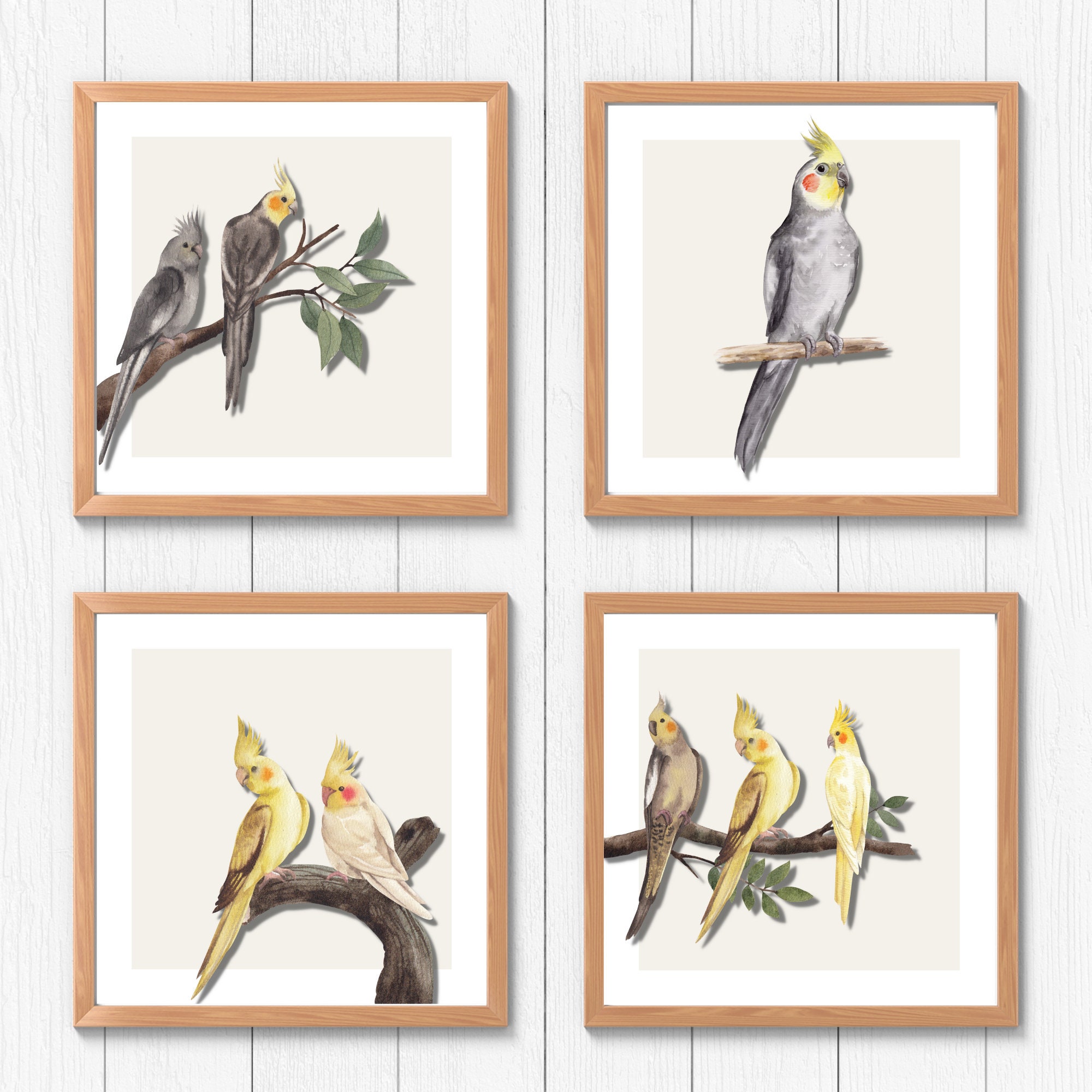 Printable Watercolor Cockatiel Wall Art - Etsy