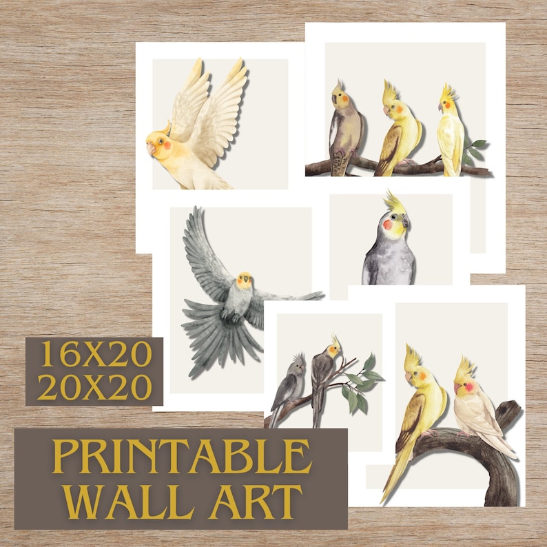 Printable Watercolor Cockatiel Wall Art - Etsy