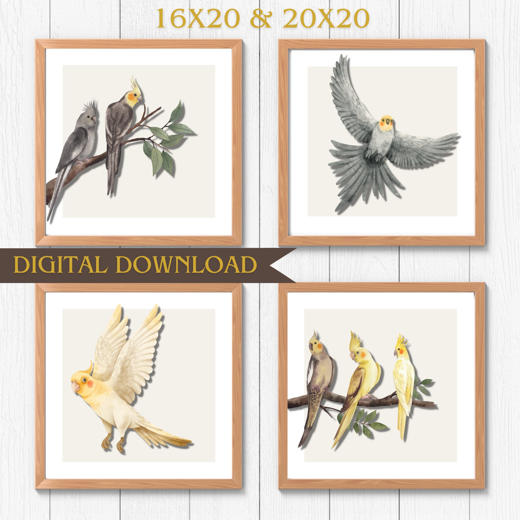 Printable Watercolor Cockatiel Wall Art - Etsy