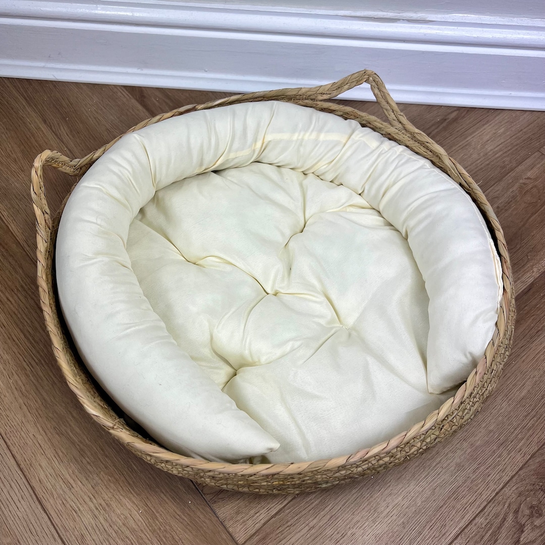 Cat Bed With Cushion, Interactive Cat Furniture, Gift for Cat Lover ...