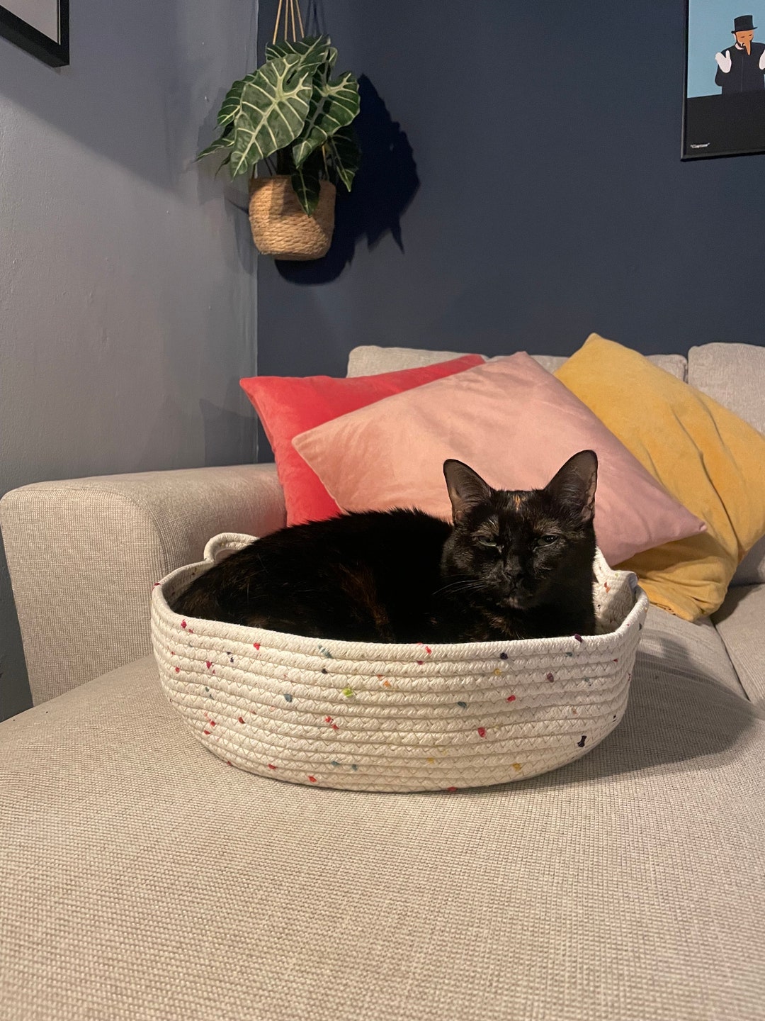 Comfy Cat Bed With Cushion, Interactive Cat Furniture, Cat Lover Gift ...