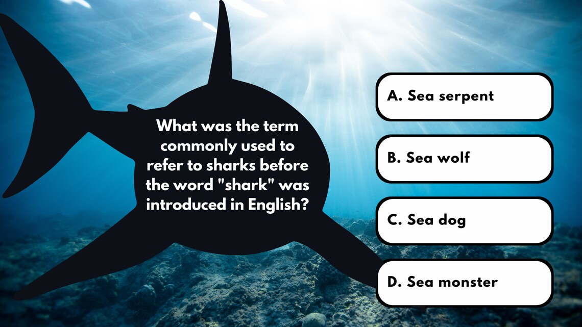 Shark Trivia Quiz for Game Night (digital: Powerpoint Presentation 10 ...