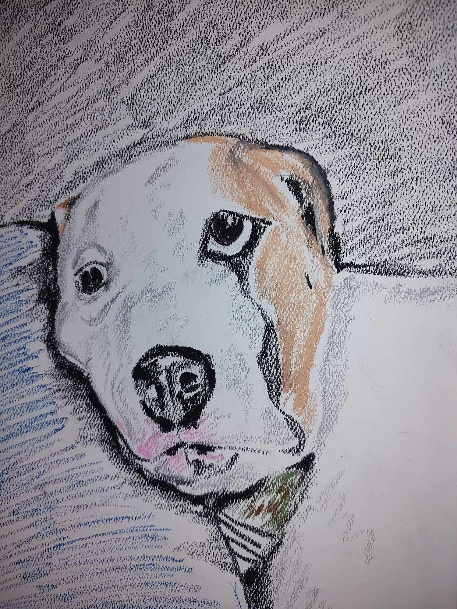 Custom Sketches - Etsy