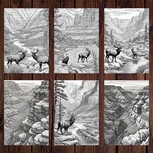 Grand Canyon Coloring Book 60 Pages, Scenic Canyon Views, Hiking in ...