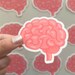 Brain Sticker, Medical Stickers, for Kids, for STEM, for Medicine, for ...