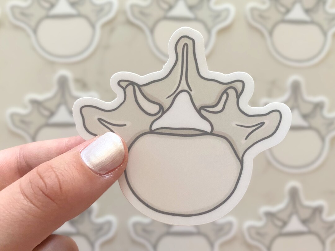 Vertebrae Sticker, Medical Stickers, for Kids, for STEM, for Medicine ...