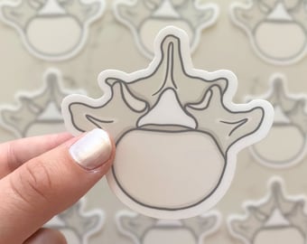 Brain Sticker, Medical Stickers, for Kids, for STEM, for Medicine, for ...