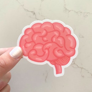 Brain Sticker, Medical Stickers, for Kids, for STEM, for Medicine, for ...