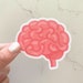 Brain Sticker, Medical Stickers, for Kids, for STEM, for Medicine, for ...
