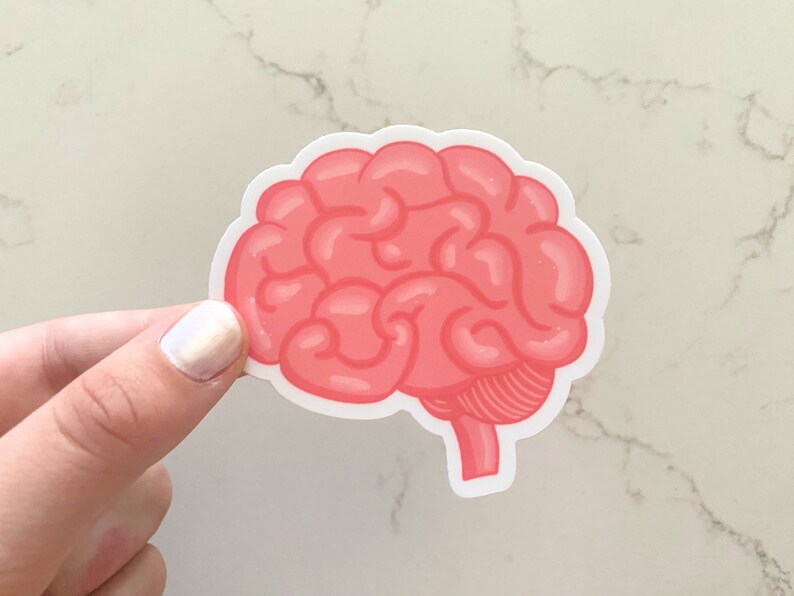 Brain Sticker, Medical Stickers, for Kids, for STEM, for Medicine, for ...