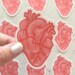 Liver Anatomy Sticker, Funny Anatomical Liver Sticker Set for Nurse ...