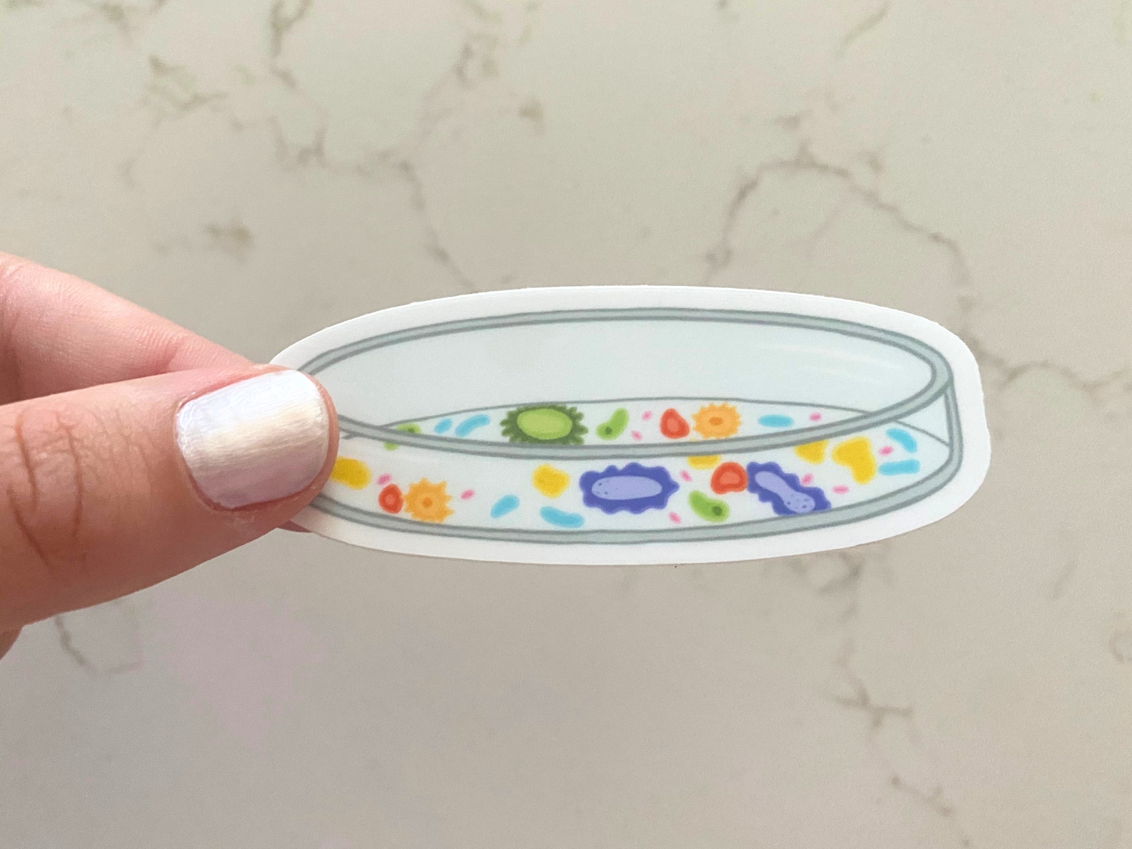 Petri Dish Sticker, Medical Stickers, for Kids, for STEM, for Medicine ...