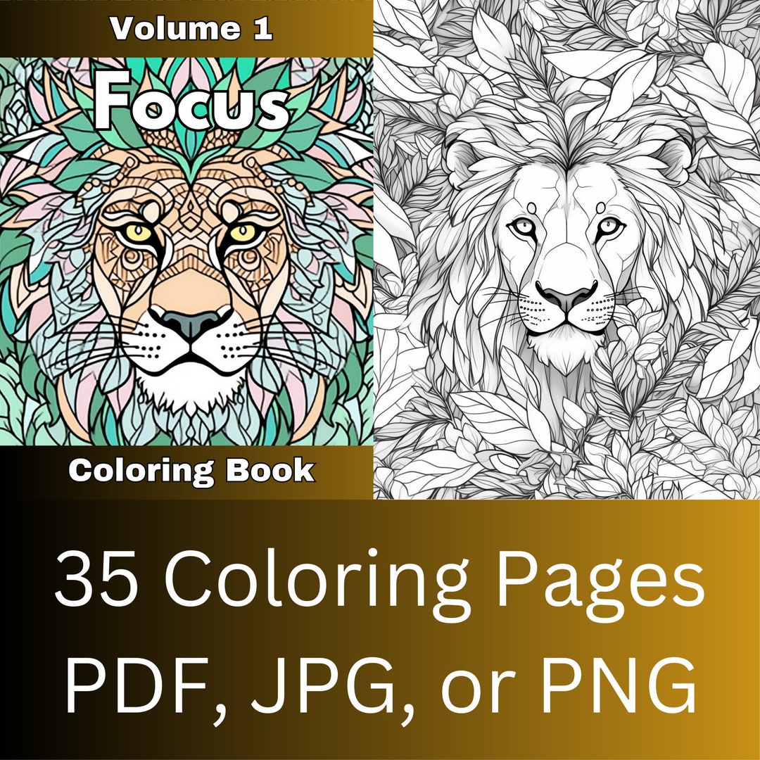 Focus Coloring Book: Full Size 8.5in X 11in Concentration - Etsy