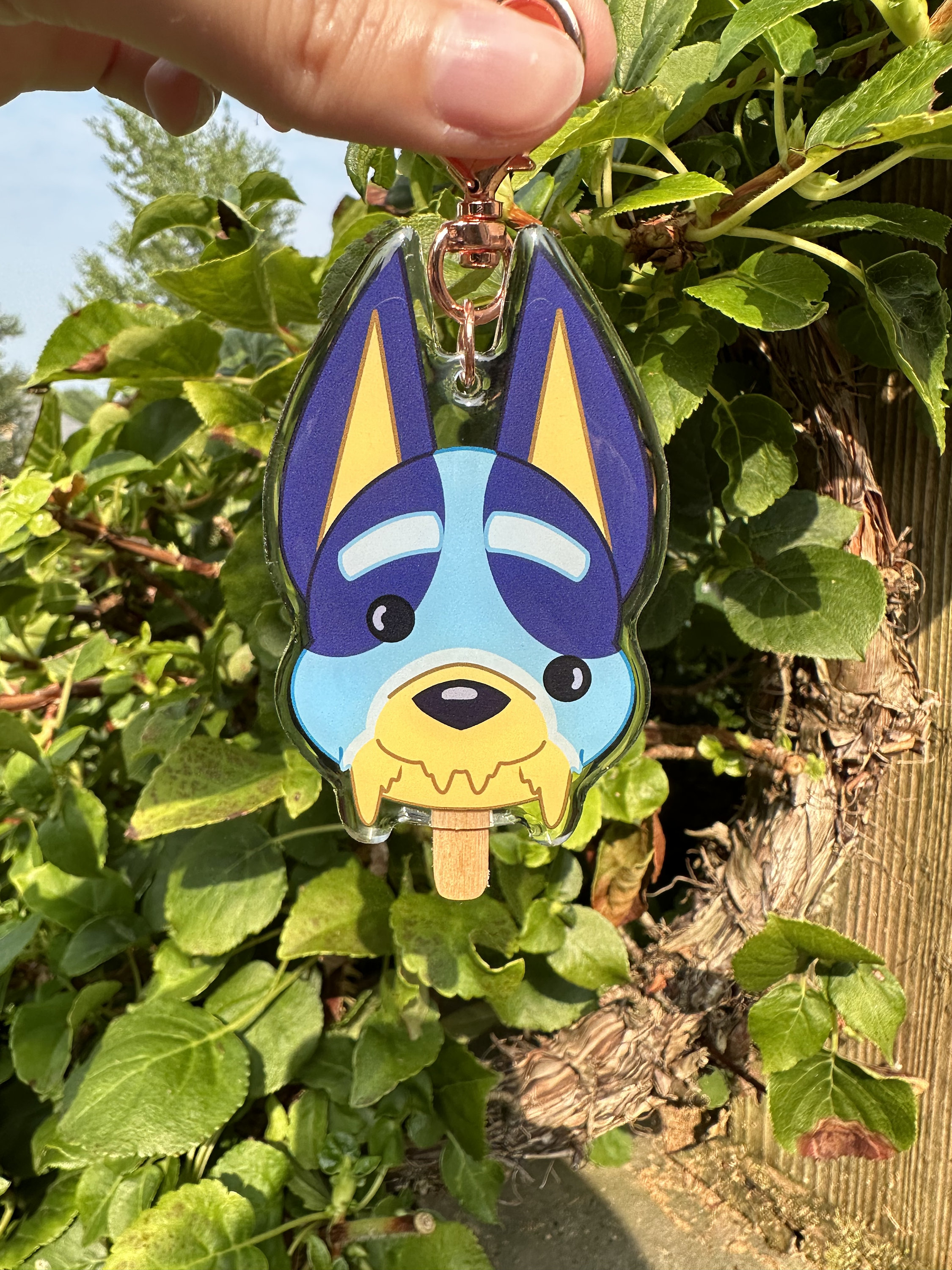 Bluey Heeler Popsicle Keychain - Etsy