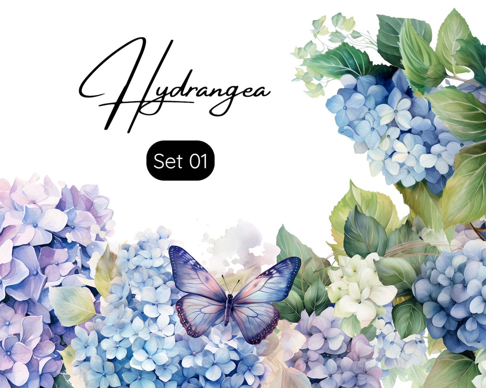 Set of 8 Png, Hydrangeas Clipart, Flowers Png, Hydrangeas Bouquet PNG ...