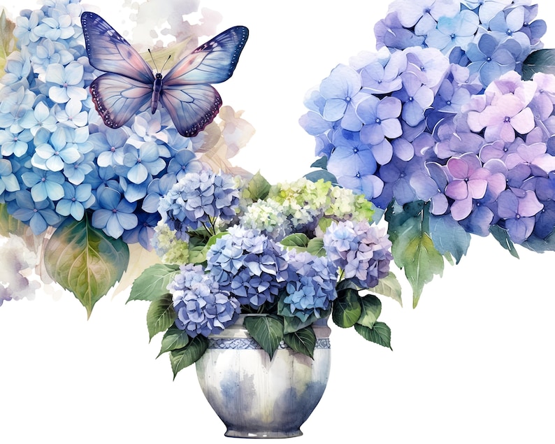 Set of 8 Png, Hydrangeas Clipart, Flowers Png, Hydrangeas Bouquet PNG ...