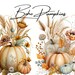 Boho Pumpkins Clipart, Bohemian Autumn Design, Cozy Fall Clipart Set ...