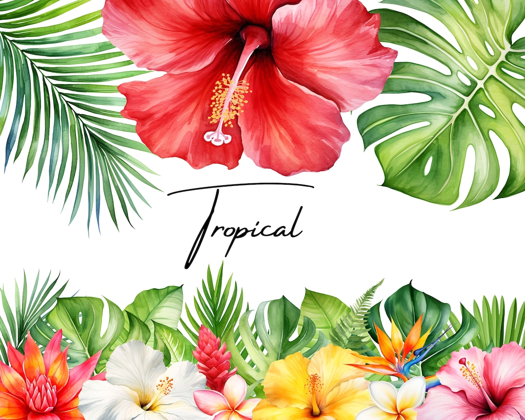 Set of 32 Png, Tropical Flowers Clipart, Tropical Greenery, Summer ...