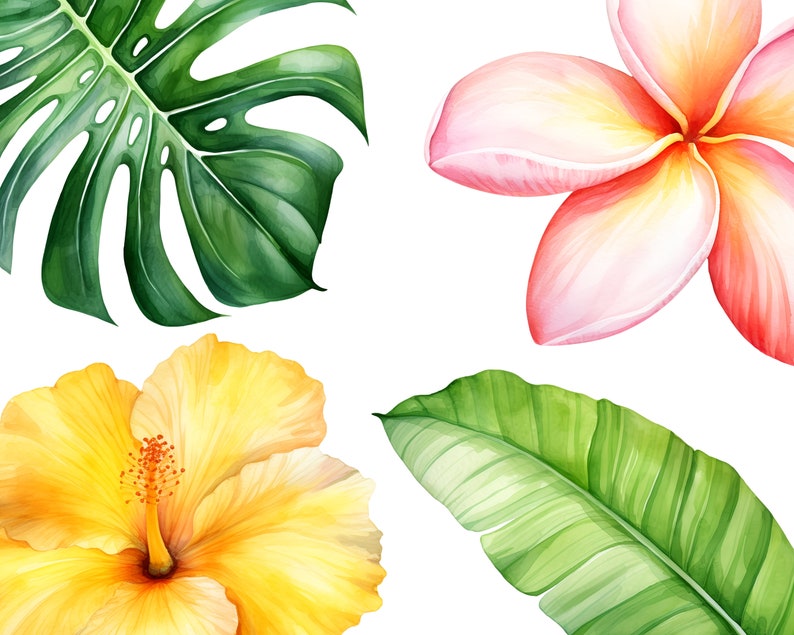 Set of 32 Png, Tropical Flowers Clipart, Tropical Greenery, Summer ...