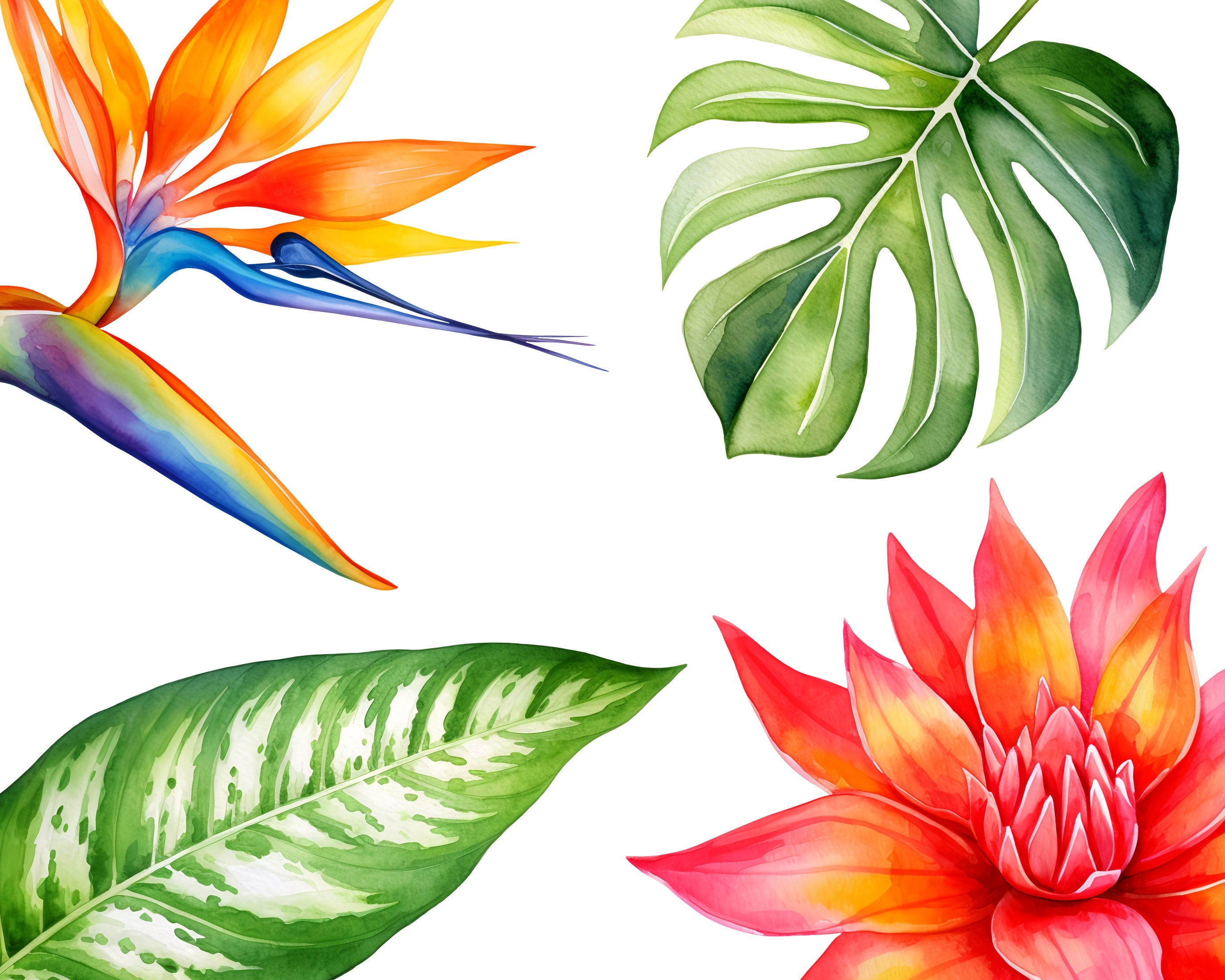 Set of 32 Png, Tropical Flowers Clipart, Tropical Greenery, Summer ...