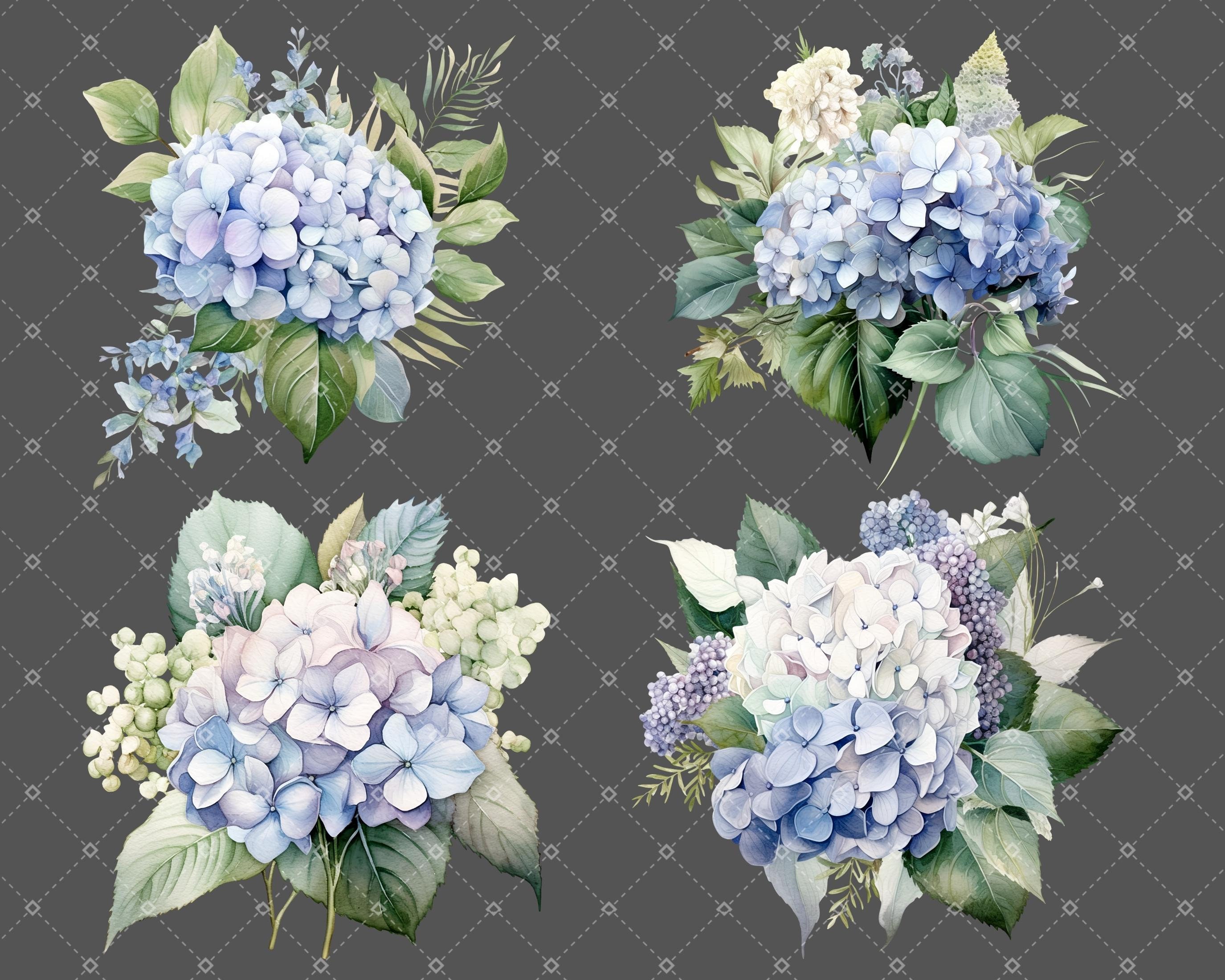 Set of 8 Png, Hydrangeas Clipart, Flowers Png, Hydrangeas Bouquet PNG ...