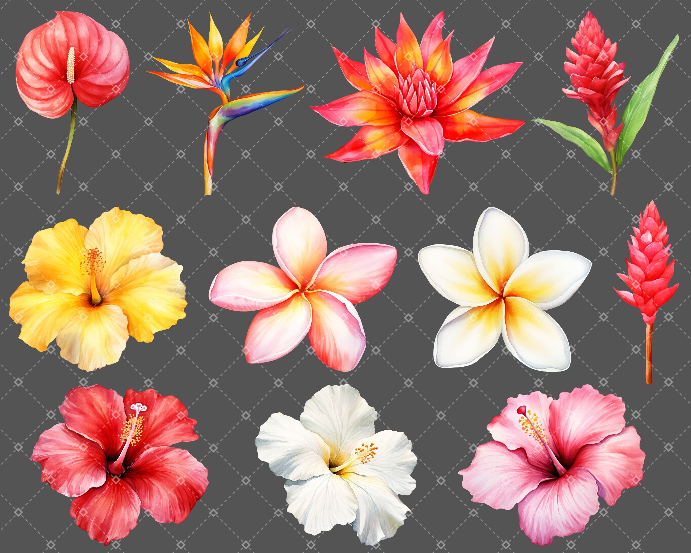 Set of 32 Png, Tropical Flowers Clipart, Tropical Greenery, Summer ...