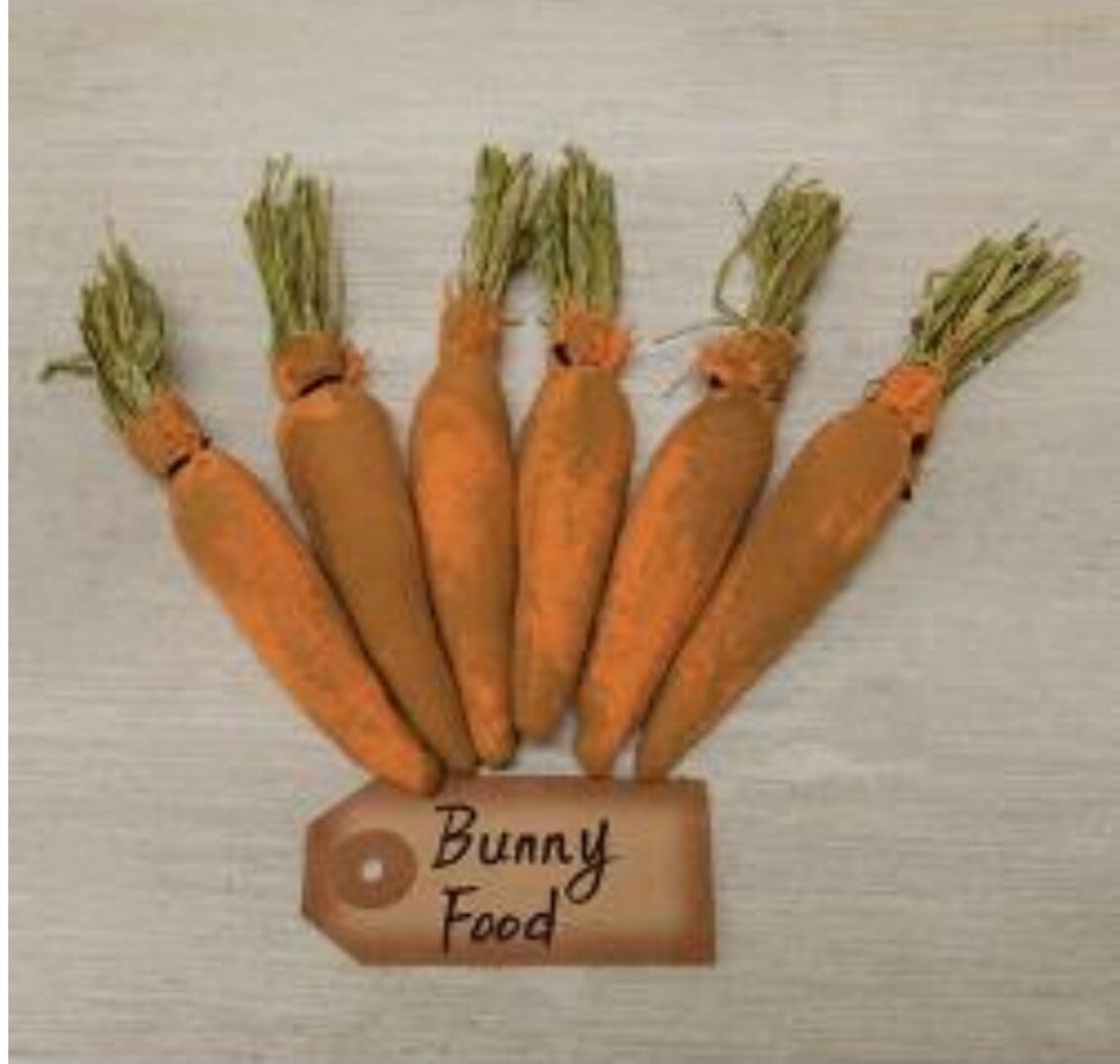 6/set, Bunny Food Carrots - Etsy