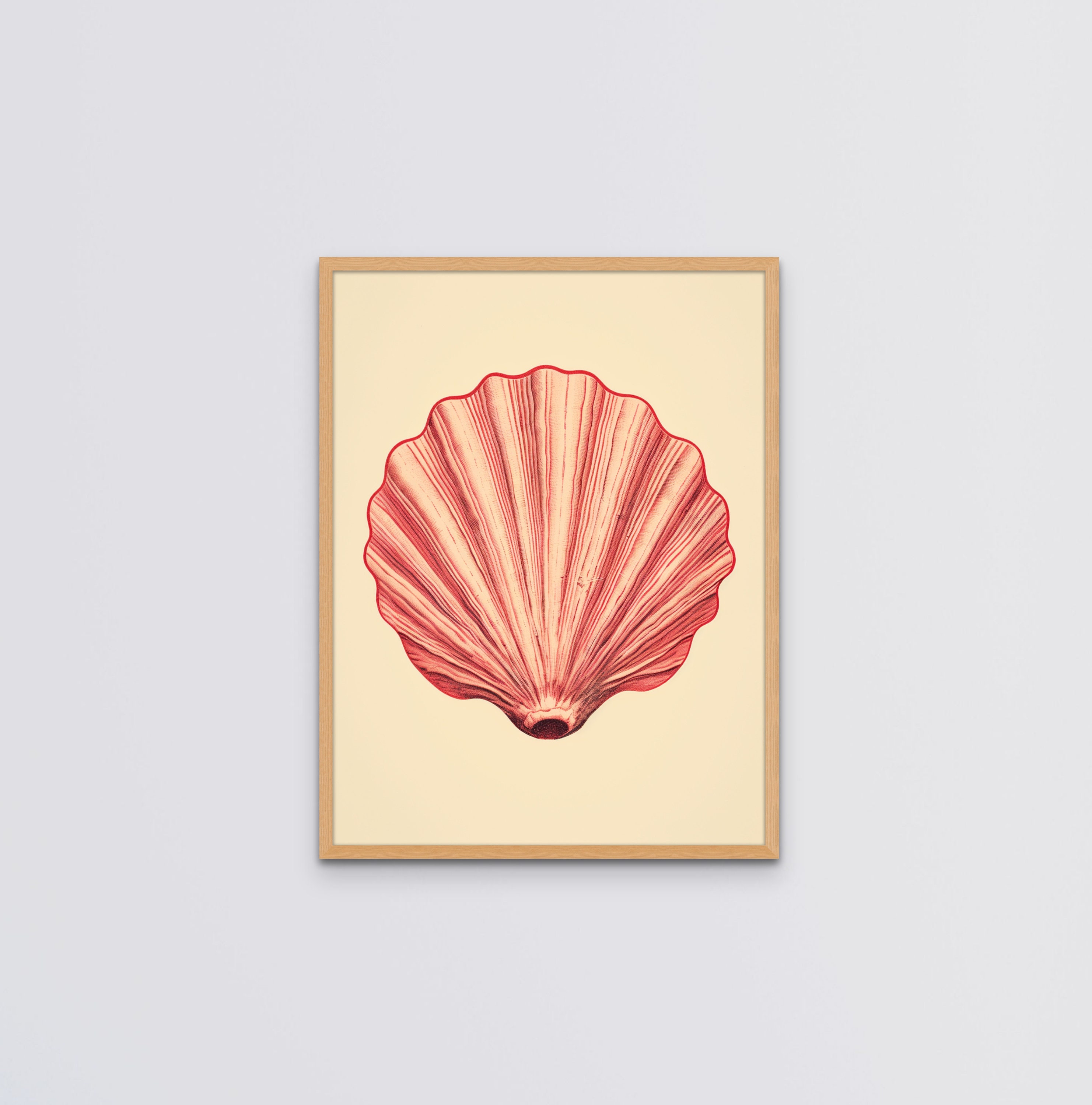 Clam Shell Poster | Clam Poster | Shell Poster | Vintage Shell Poster ...
