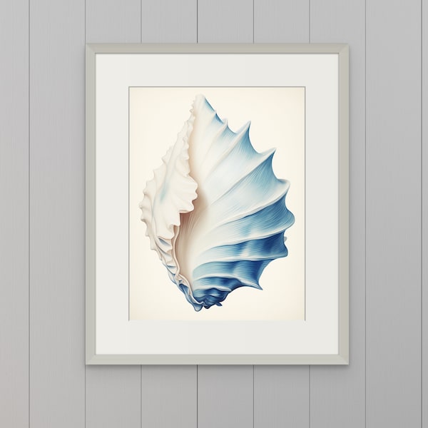 Shell Art Print - Etsy