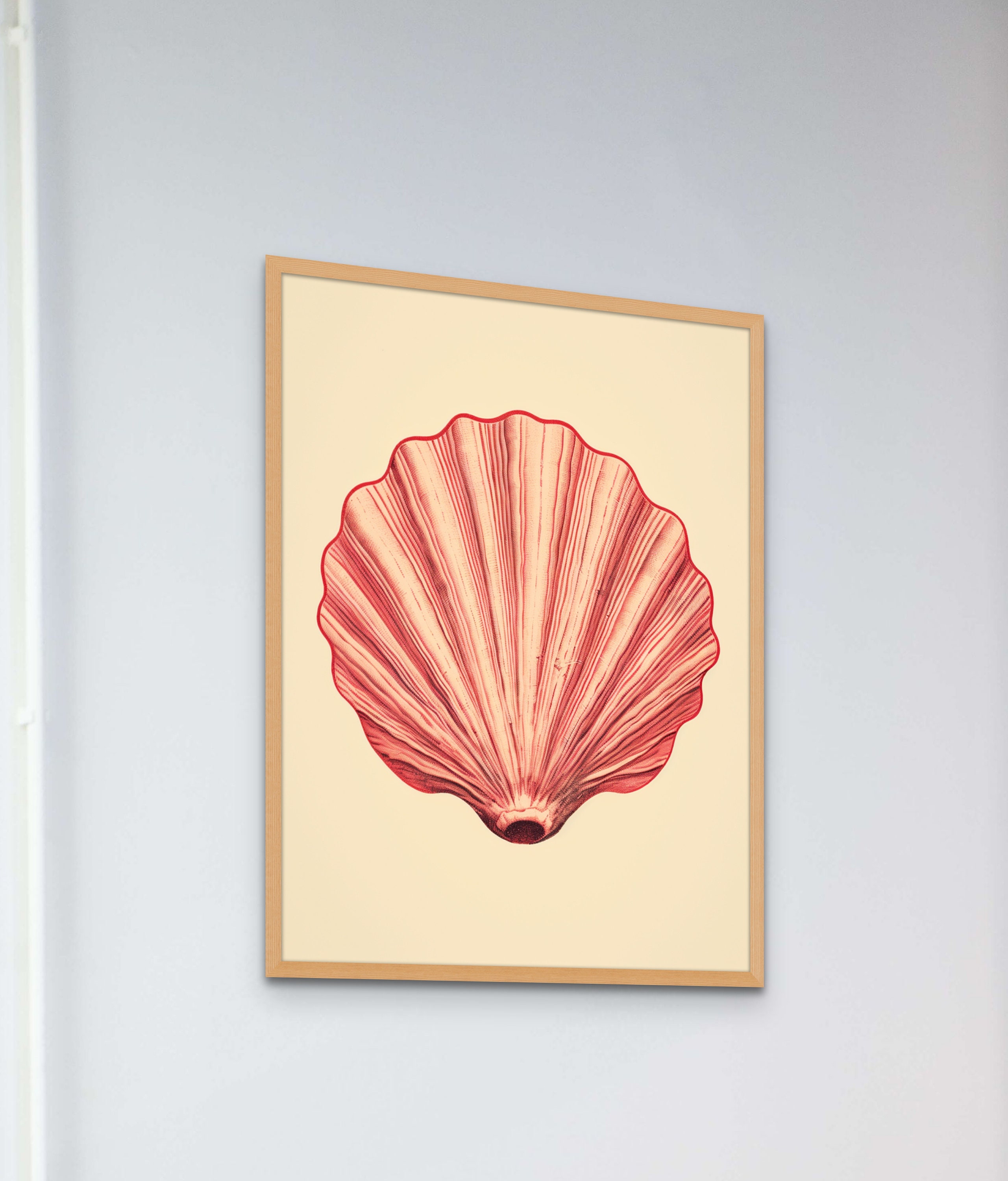 Clam Shell Poster Clam Poster Shell Poster Vintage Shell Poster Shell ...