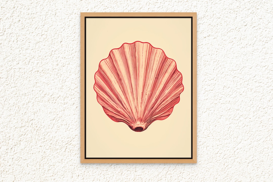 Clam Shell Poster Clam Poster Shell Poster Vintage Shell Poster Shell ...