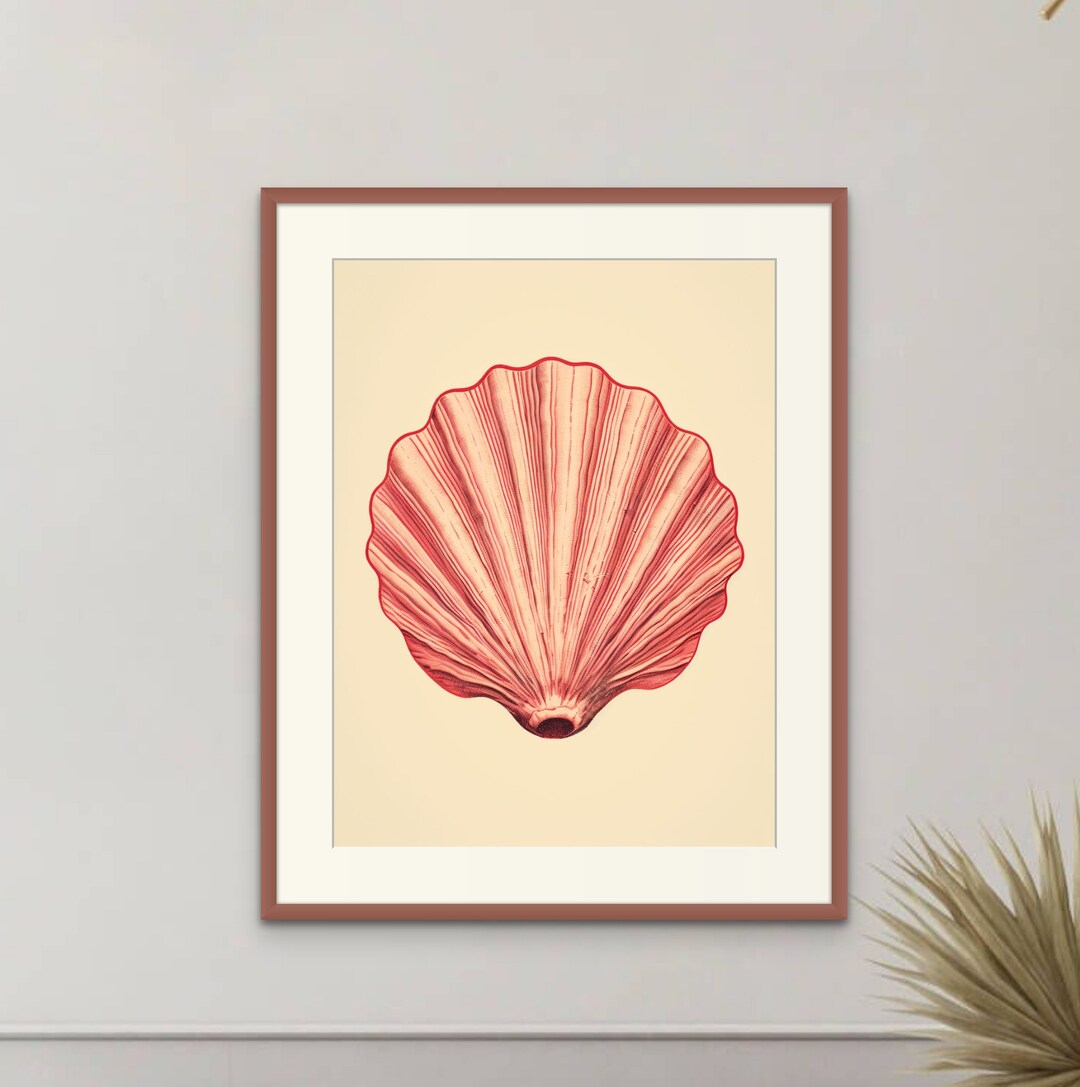 Clam Shell Poster | Clam Poster | Shell Poster | Vintage Shell Poster ...