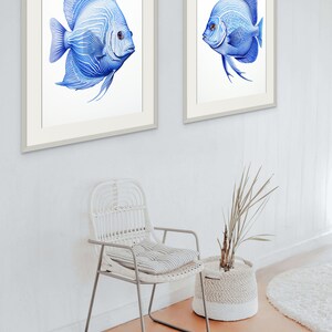 Blue Discus Fish Print set of 2 - Etsy