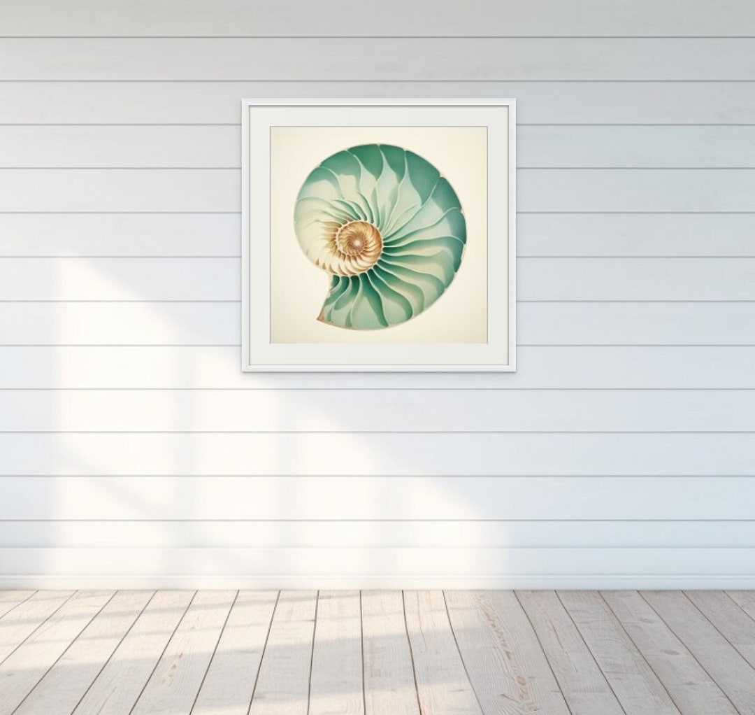 Teal Nautilus Shell Print | Shell Wall Art | Coastal Print | Beach ...