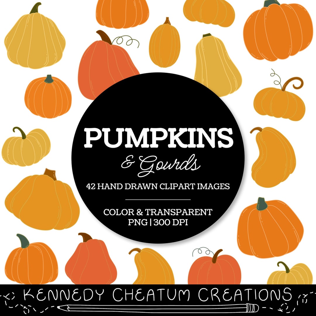 Pumpkin and Gourds Clipart - FALL CLIPART, Hand Drawn Color and ...