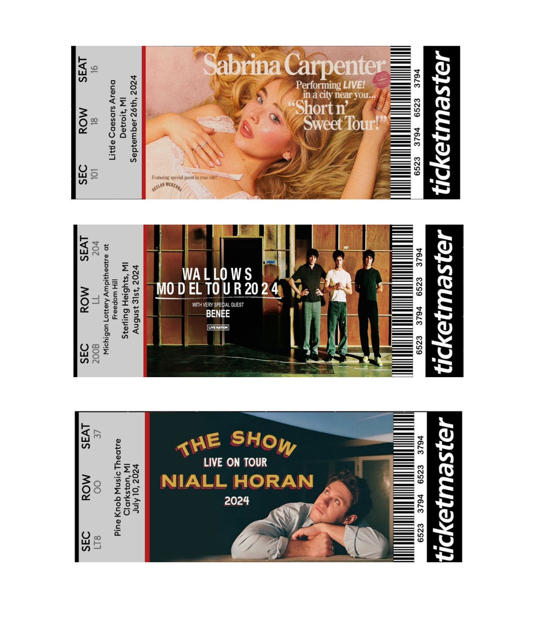 Custom Souvenir Concert Ticket-digital or Physical - Etsy Canada