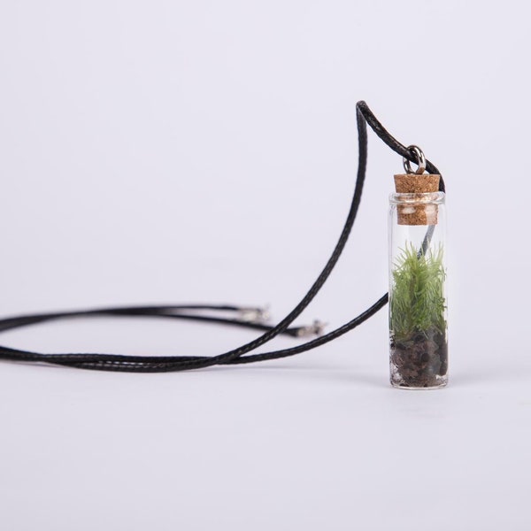 Terrarium Necklace - Etsy
