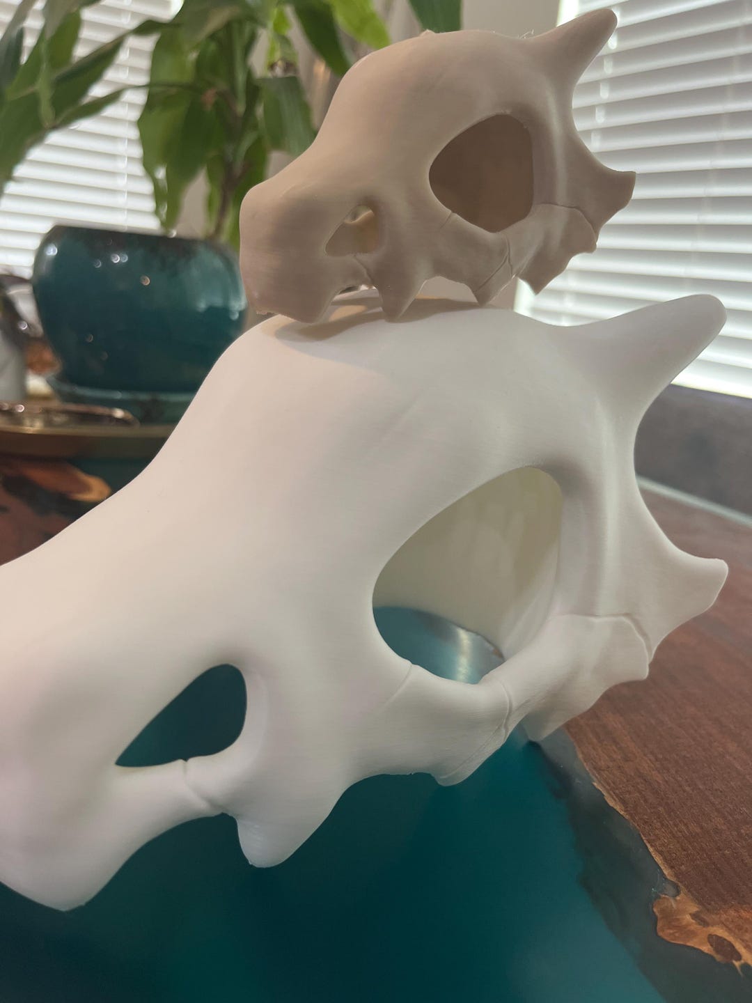Large Cubone Skull Replica - Multiple Sizes and Colors Available ...