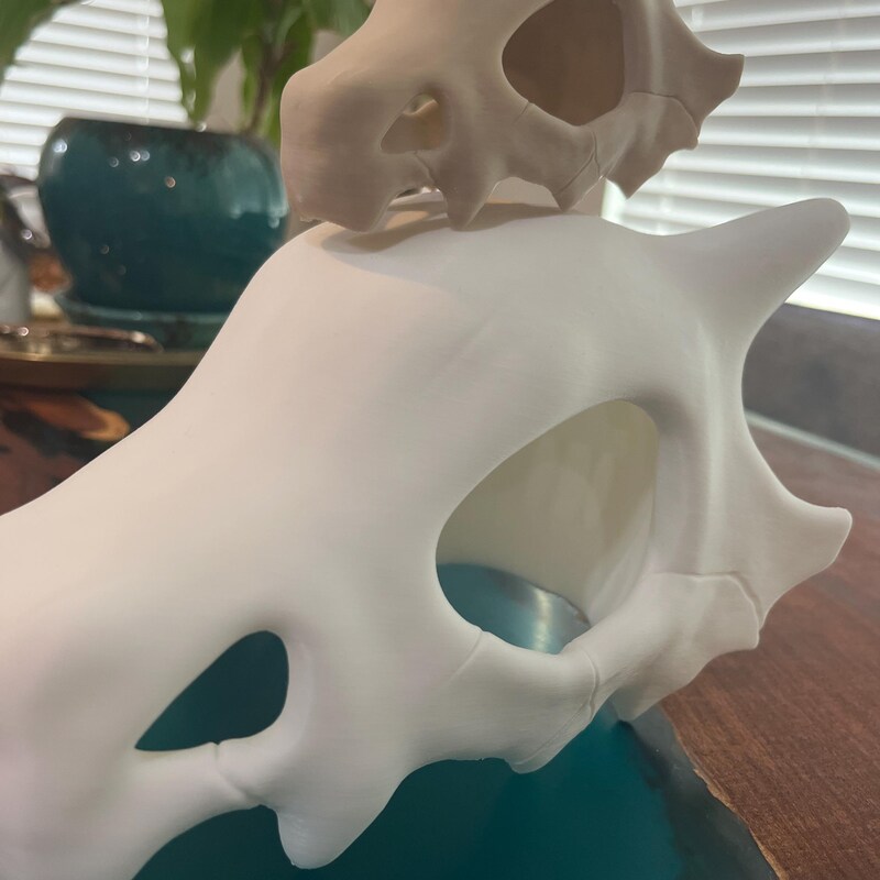 Cubone Skull - Etsy