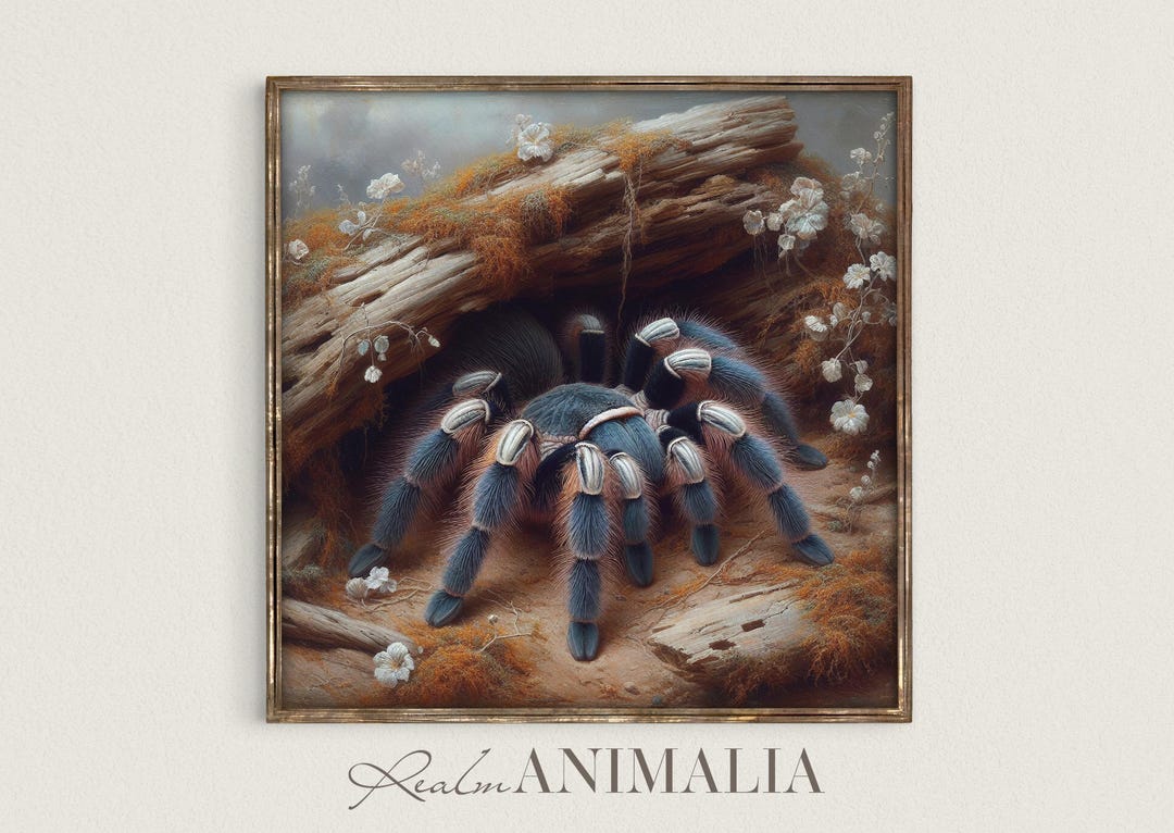 Vintage Blue Tarantula Art Print: Cottagecore Spider Illustration ...
