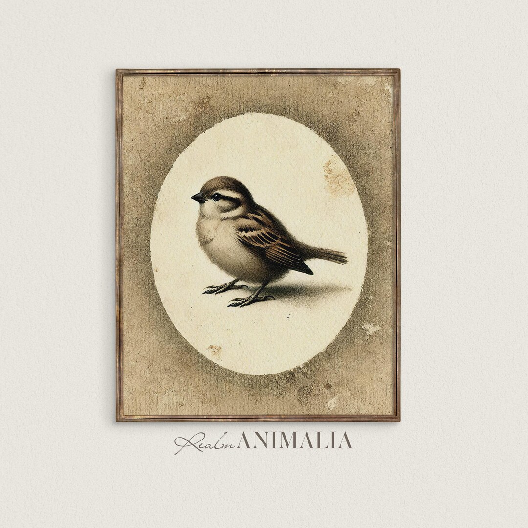 Vintage Sparrow Print: Rustic Cottagecore Bird Wall Art (digital ...
