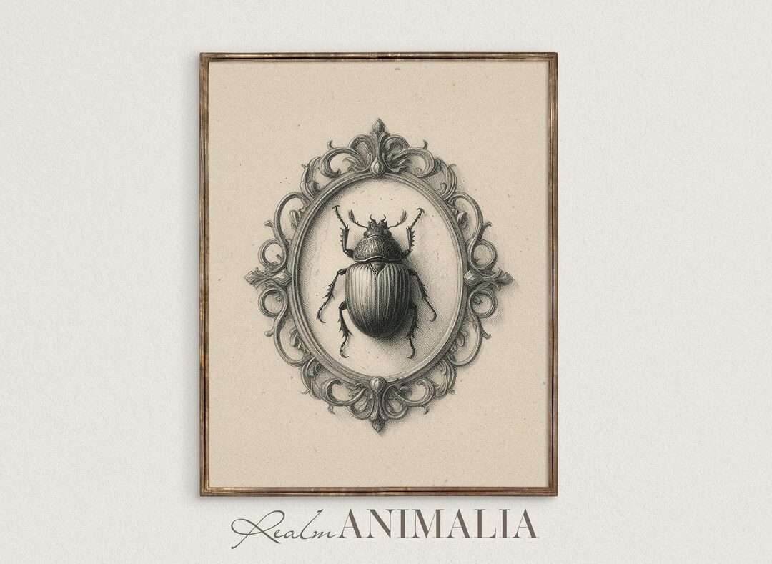 Beetle Sketch Art Print, Printable Entomology Insect Illustration ...