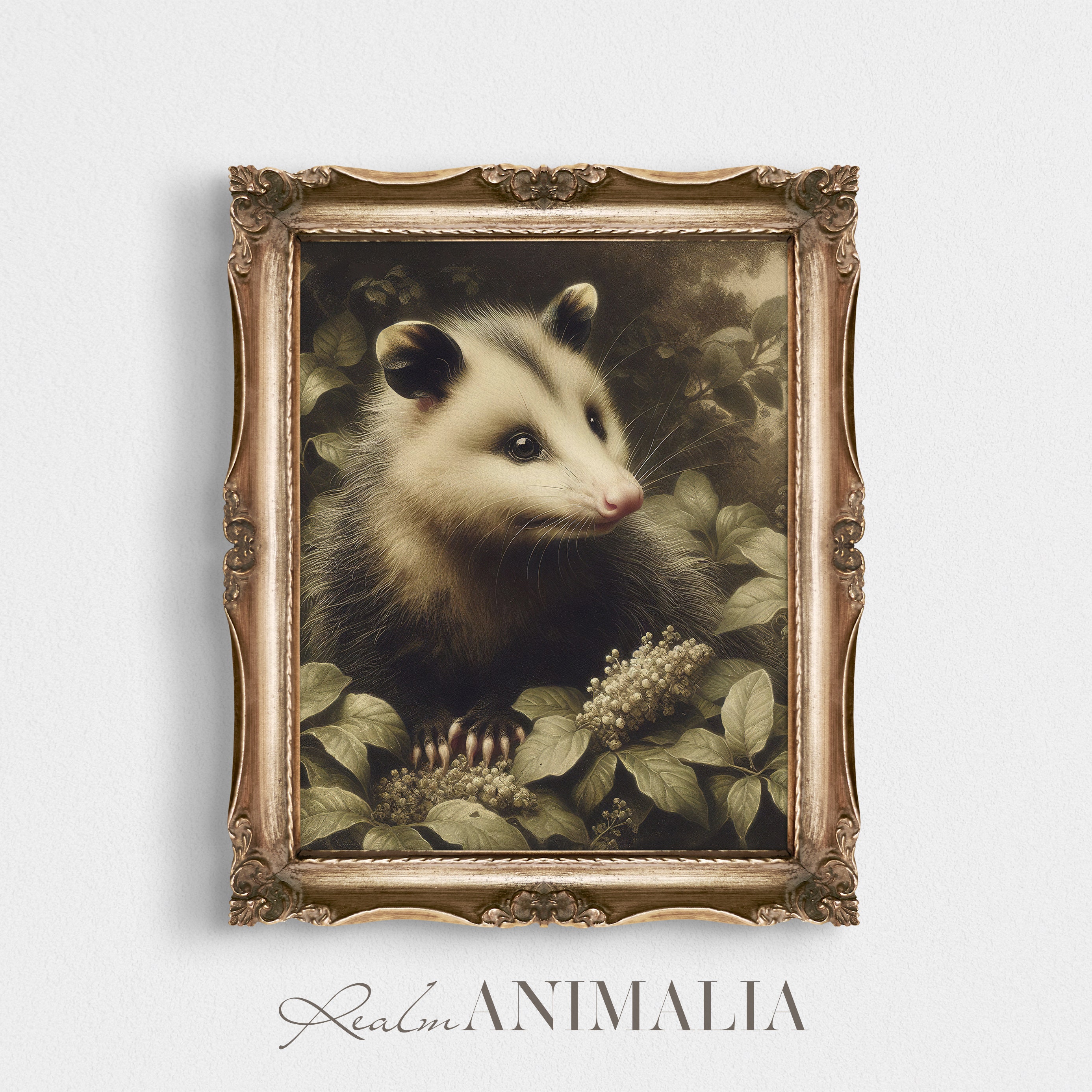 Vintage Opossum Portrait Painting, Printable Botanical Woodland Animal ...