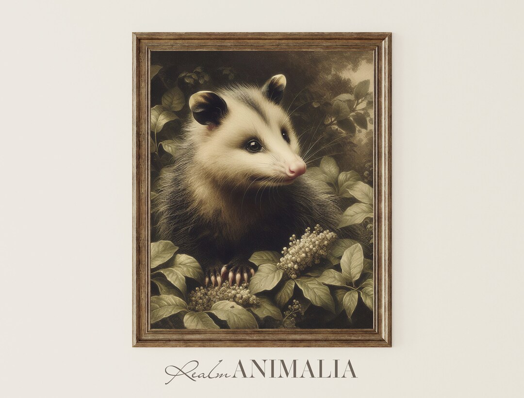 Vintage Opossum Portrait Painting, Printable Botanical Woodland Animal ...