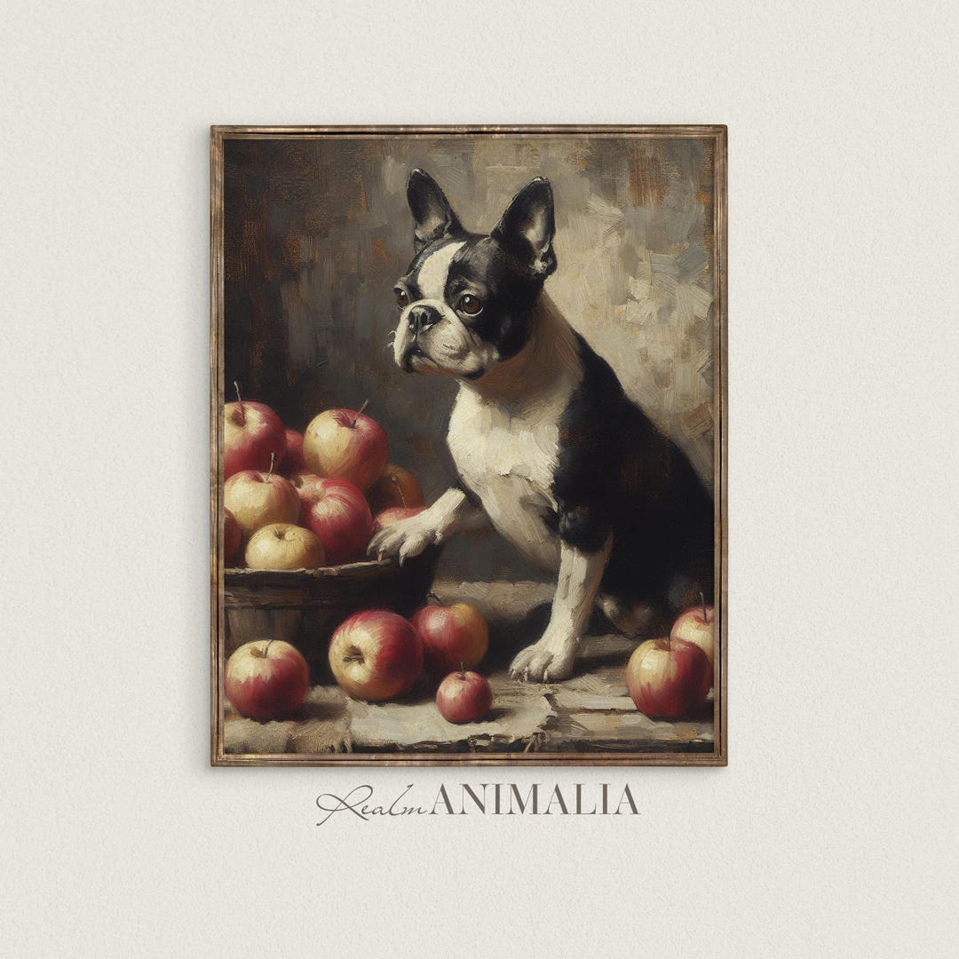 Vintage Boston Terrier Dog With Apples Painting, Antique Style Animal ...